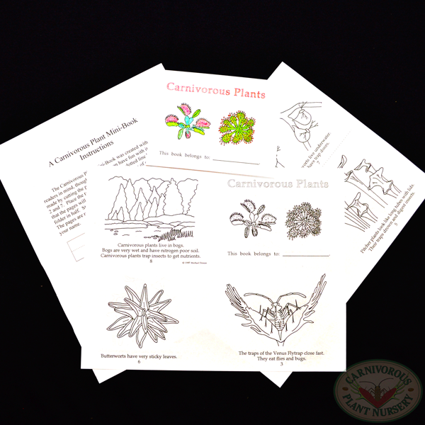 Carnivorous Plant Minibook (Digital Download)