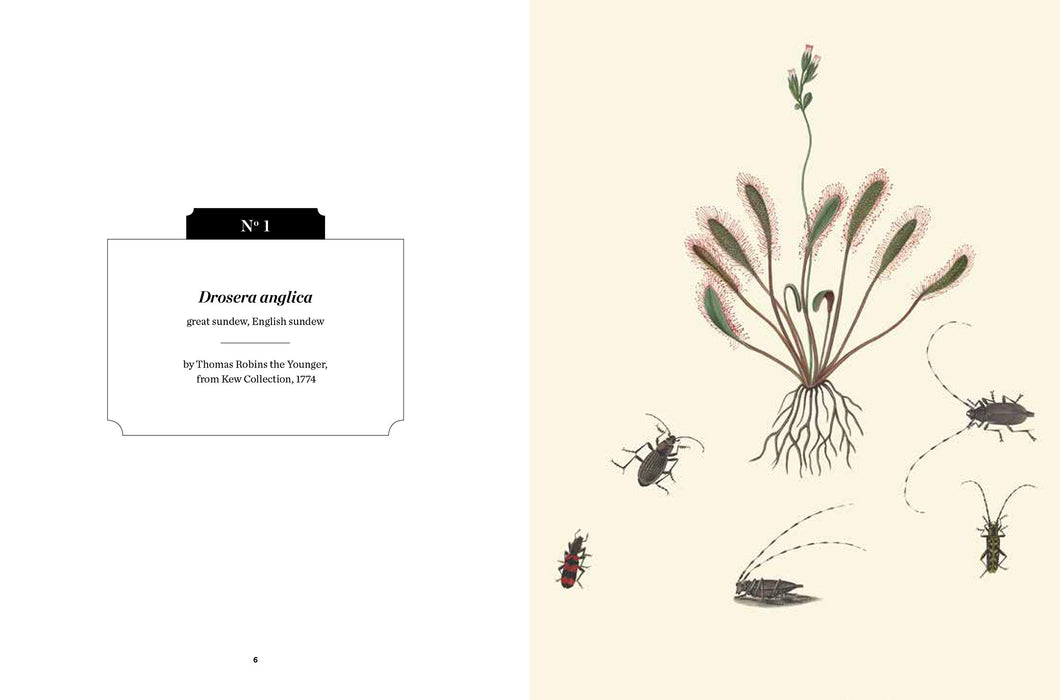 Carnivorous Plants - Kew Pocketbook